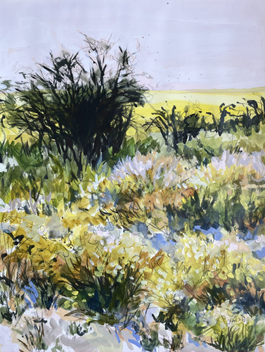 Canola Approach - paper, 24x18" | Jennifer L Mohr Art