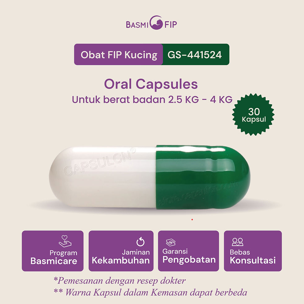 FIP Oral Capsules, 30 Days Treatment, Cats 2.5 ~ 4kg | Basmi FIP Indonesia