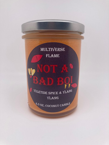 Not A Bad Boi- Inspired by Hazbin Hotel | Multiverse Flame