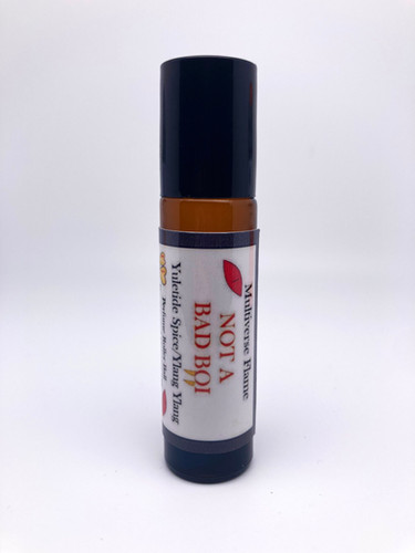 Not A Bad Boi- Inspired by Hazbin Hotel (Perfume) | Multiverse Flame