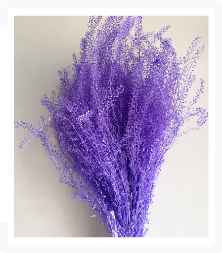 Mini Cui Fan | Store for Craft