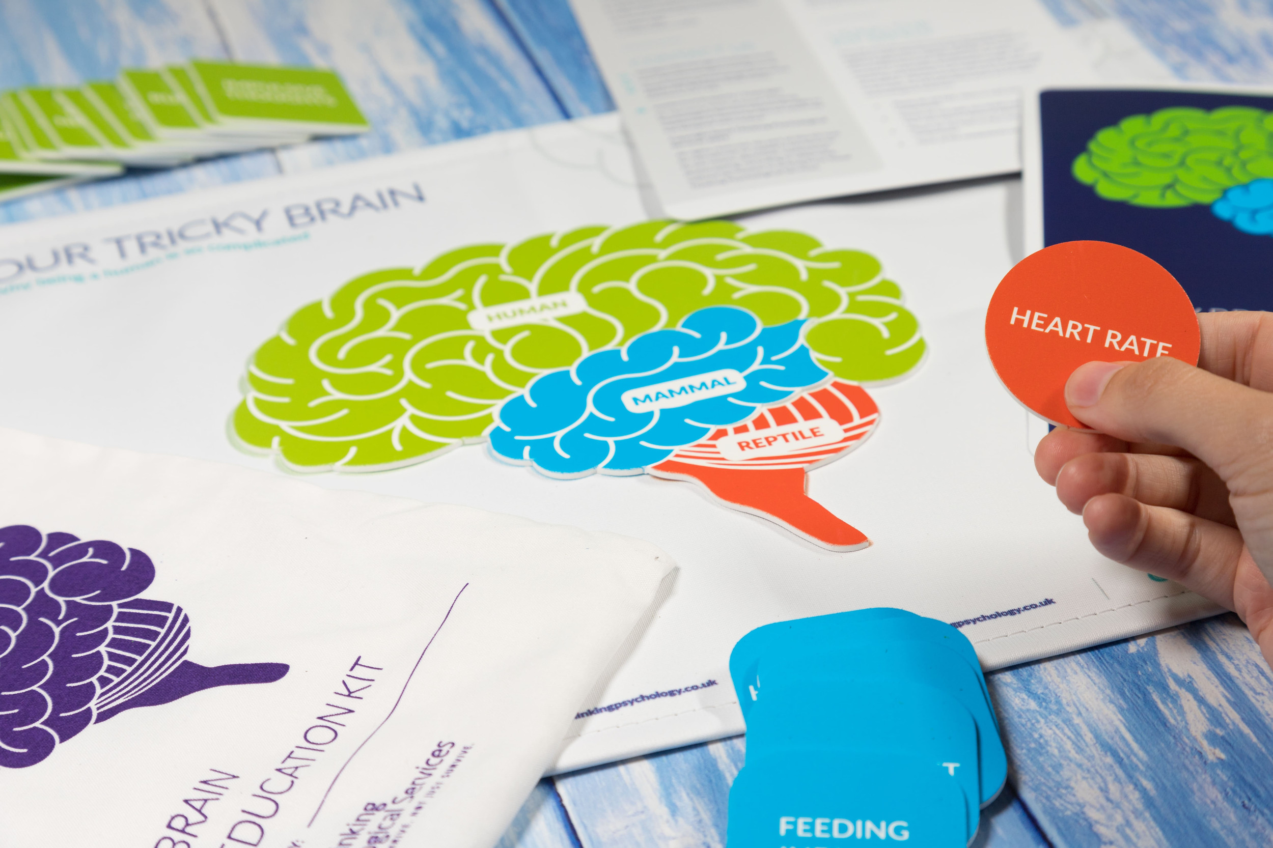 The Our Tricky Brain Kit | The Aspiring Psychologist | Psychoeducation Kit