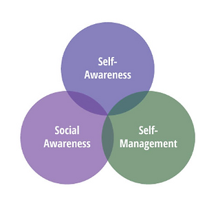 Behaviour Profiling | Beneath The Surface | Consultancy Manchester