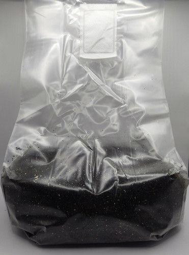 5lb Coconut Coir Bag | Denver Spore Company