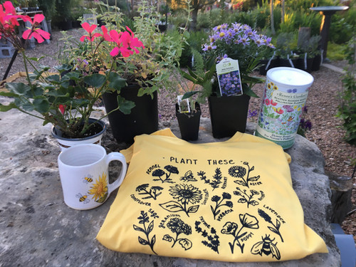 The Wildflower Box (June) | Mysite