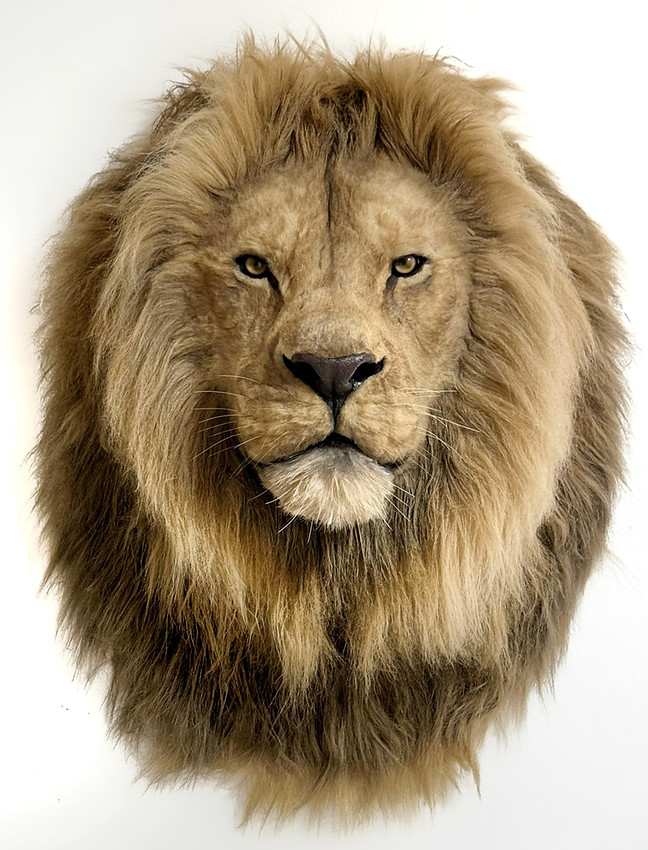 Official Website | Animal Replicas | Realistic Handcrafted Faux ...