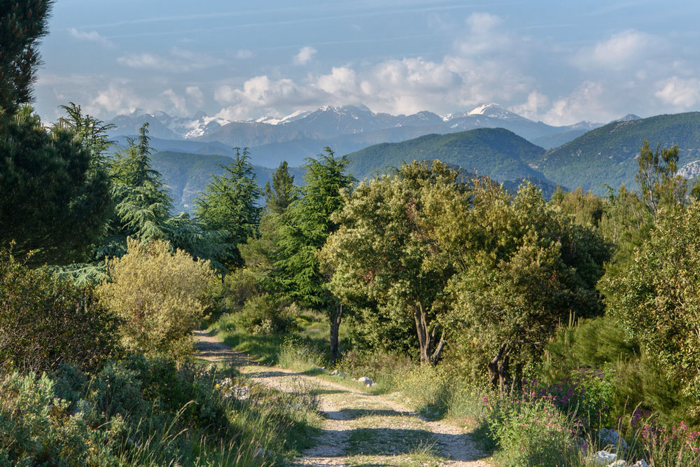 Parc Départemental de la Grande Corniche: Commanding views over the Riviera