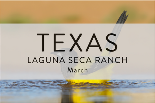 Laguna Seca Ranch | Texas | March 22-25, 2021 | $3995 | Alan Murphy