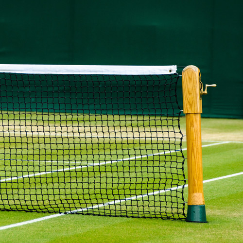 20kg - TN.2 All Rye Tennis Courts Grass Seed Mix (TN2)