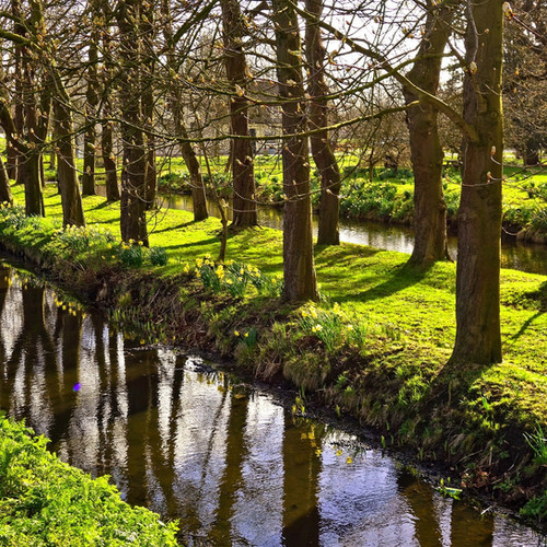 CESWI Mixture 4 Grass Seed Mix (Very Low Fertility, Low PH, Sandy Soils ...