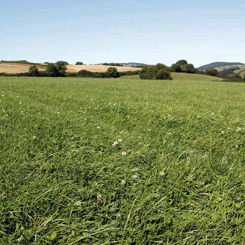 HM.14C Hybrid Power + Clover Grass Seed Mix (Acre Pack)