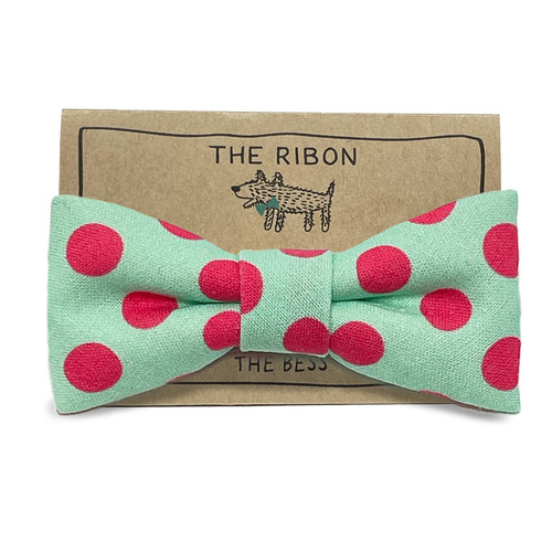 R46 MINT-DOT | THE BESS