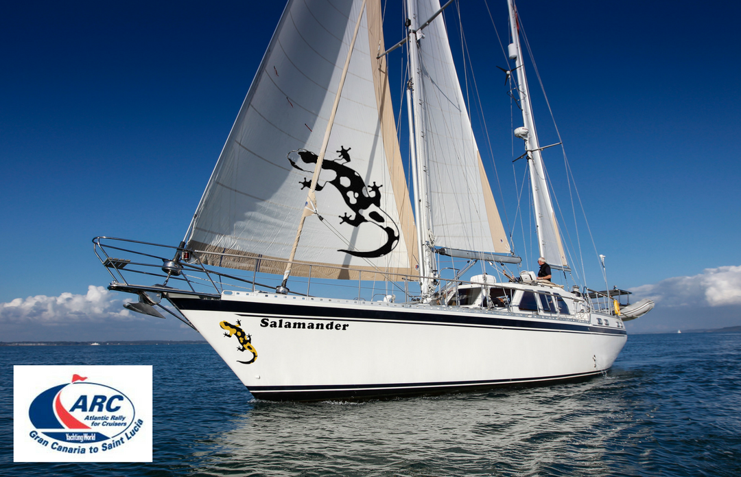 ARC Atlantic Rally | The Salamander Sailing Adventure