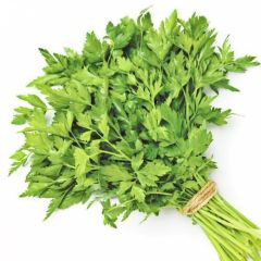 Pre-Bagged Parsley - 1 Lb Unit | Alessio Foods