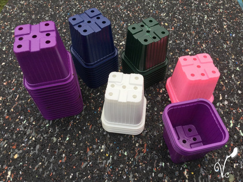 Petit godet en plastique 7*7cm de couleurs (*25) | plantescarnivores