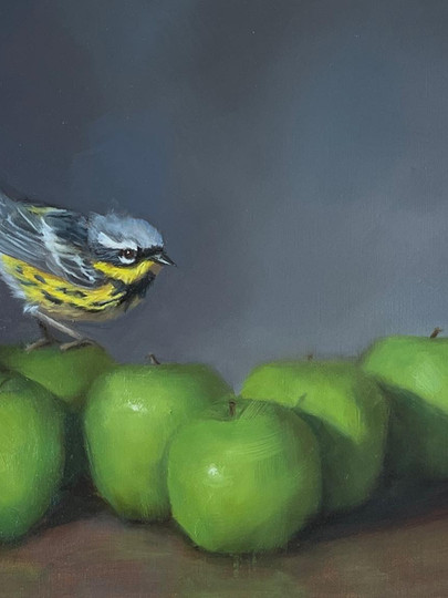 Rose Tanner Fine Art: Bird Paintings and Painting Classes | PO Box 2078 ...
