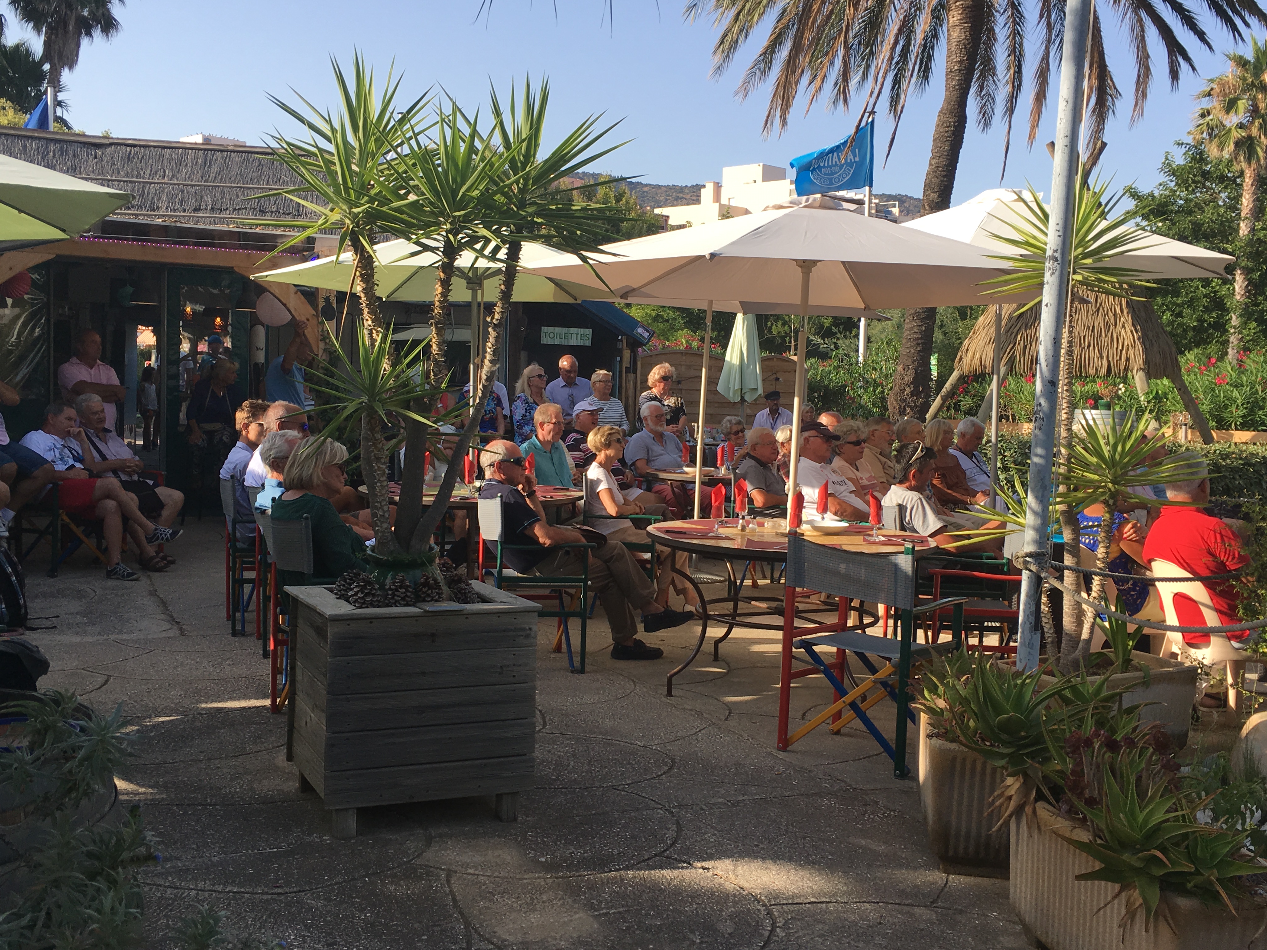 Bar restaurant | France | Toucan Café