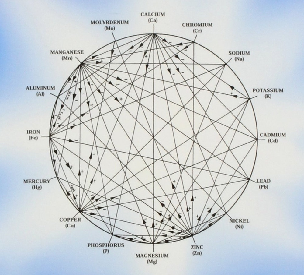 Minerals: Nature's Palette of Life (Dr. Paul Eck)