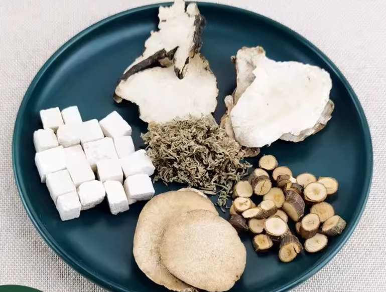 Yin Chen Wu Ling San: A TCM Formula for Clearing Damp-Heat and ...