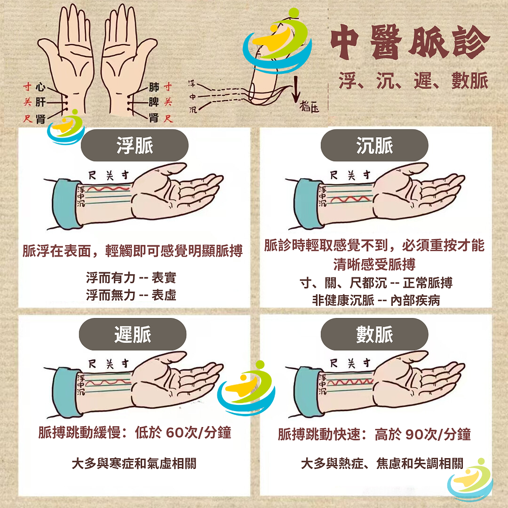 The Art of Pulse Diagnosis in Traditional Chinese Medicine: What You ...