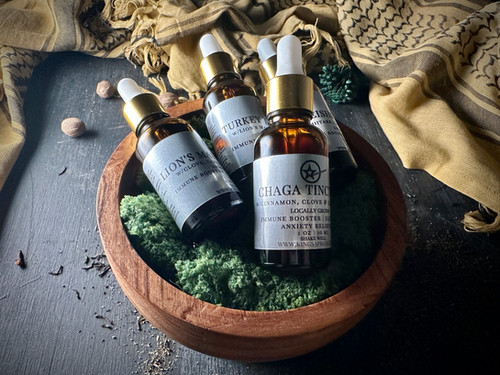 Mushroom Tincture Kit | mysite