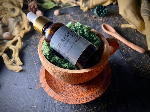 Turkey Tail Mushroom Tincture | mysite