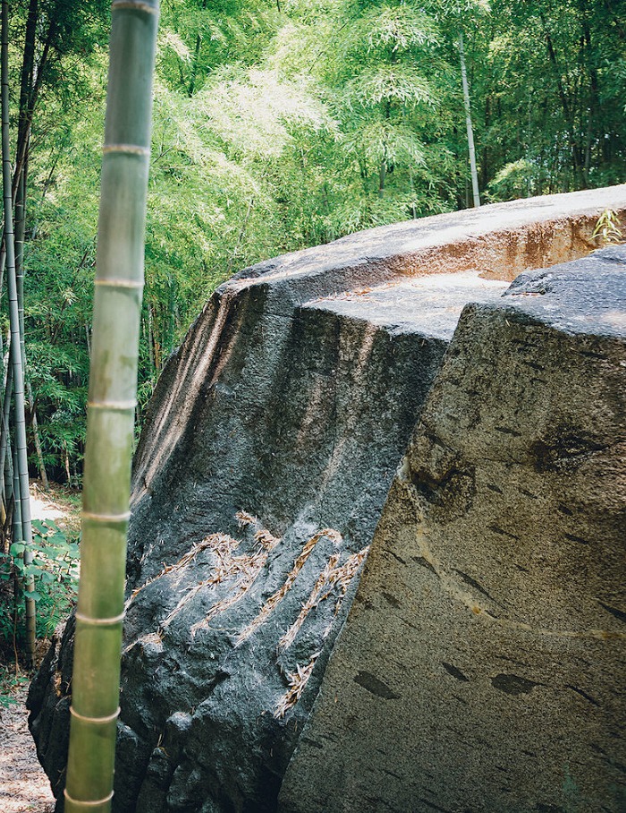 A Tour For The 6 Senses – Things To Do In Kashihara City