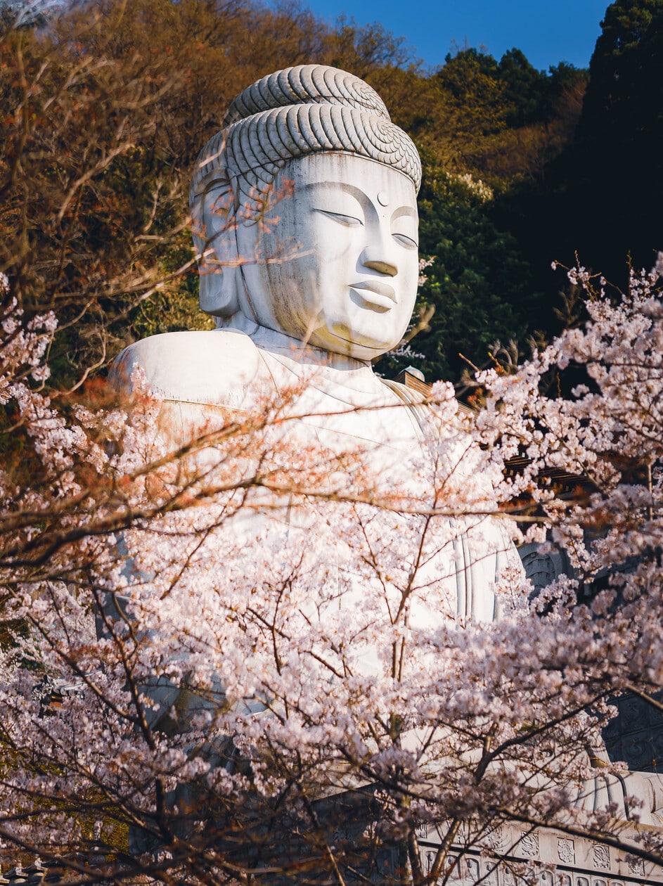 Tsubosaka-dera Temple