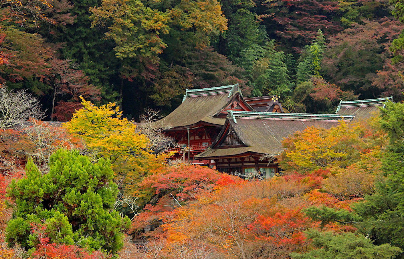 Nara's 10 Top Autumn Foliage Spots | Nara Sarusawa Blog | Nara Japan ...