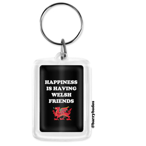 Happiness is Having Welsh Friends Keyring | barrybados