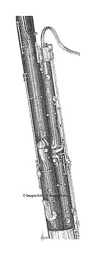 Bassoon, Print | douglasfulks