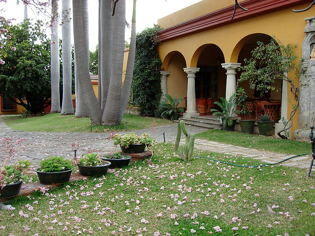 Contact Instituto Cultural Oaxaca | Spanish School in Oaxaca