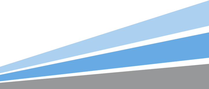 Meet the Team | Lighthousepartners