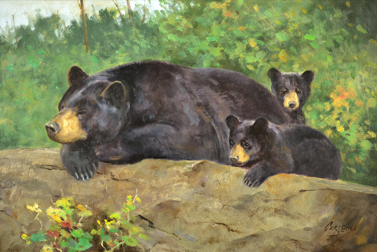 Ken Carlson Paintings