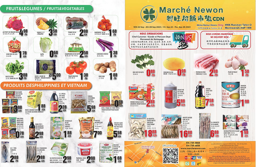 HIdding Flyer | Marche Newon