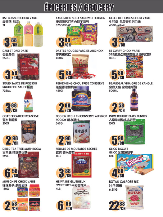 DT Flyer | Marche Newon