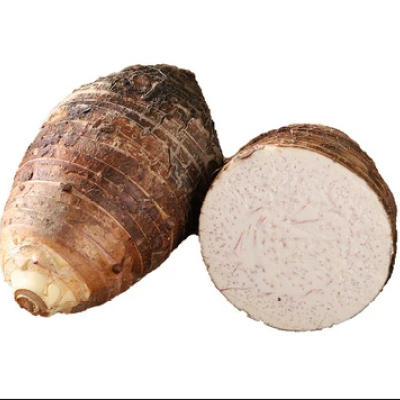 Big Taro Root 1Pcs | Marche Newon