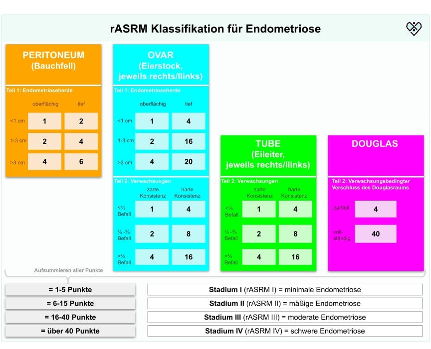 Endo Klassifizierung | FemXX
