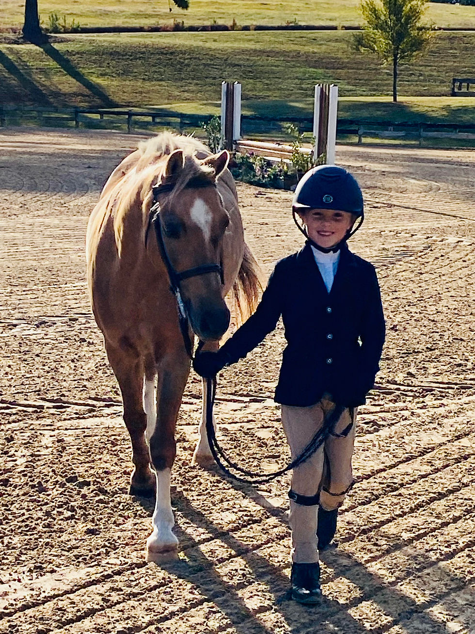 NTHJC | North Texas Hunter Jumper Club