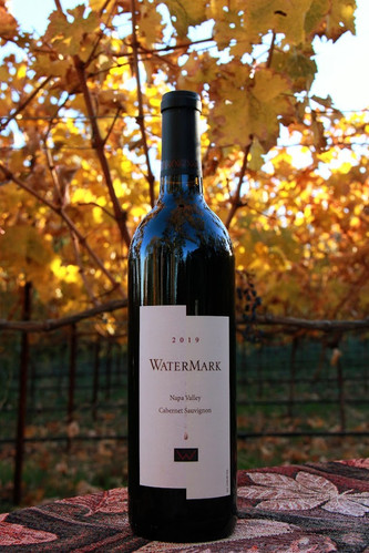 2019 WaterMark Napa Cabernet Sauvignon | watermark-wine