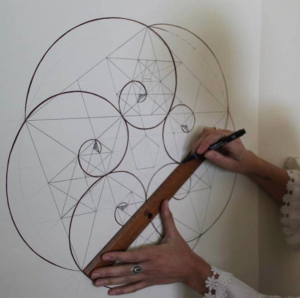Brisbane ~ The Golden Spiral In Nature ~ A Drawing Workshop ...