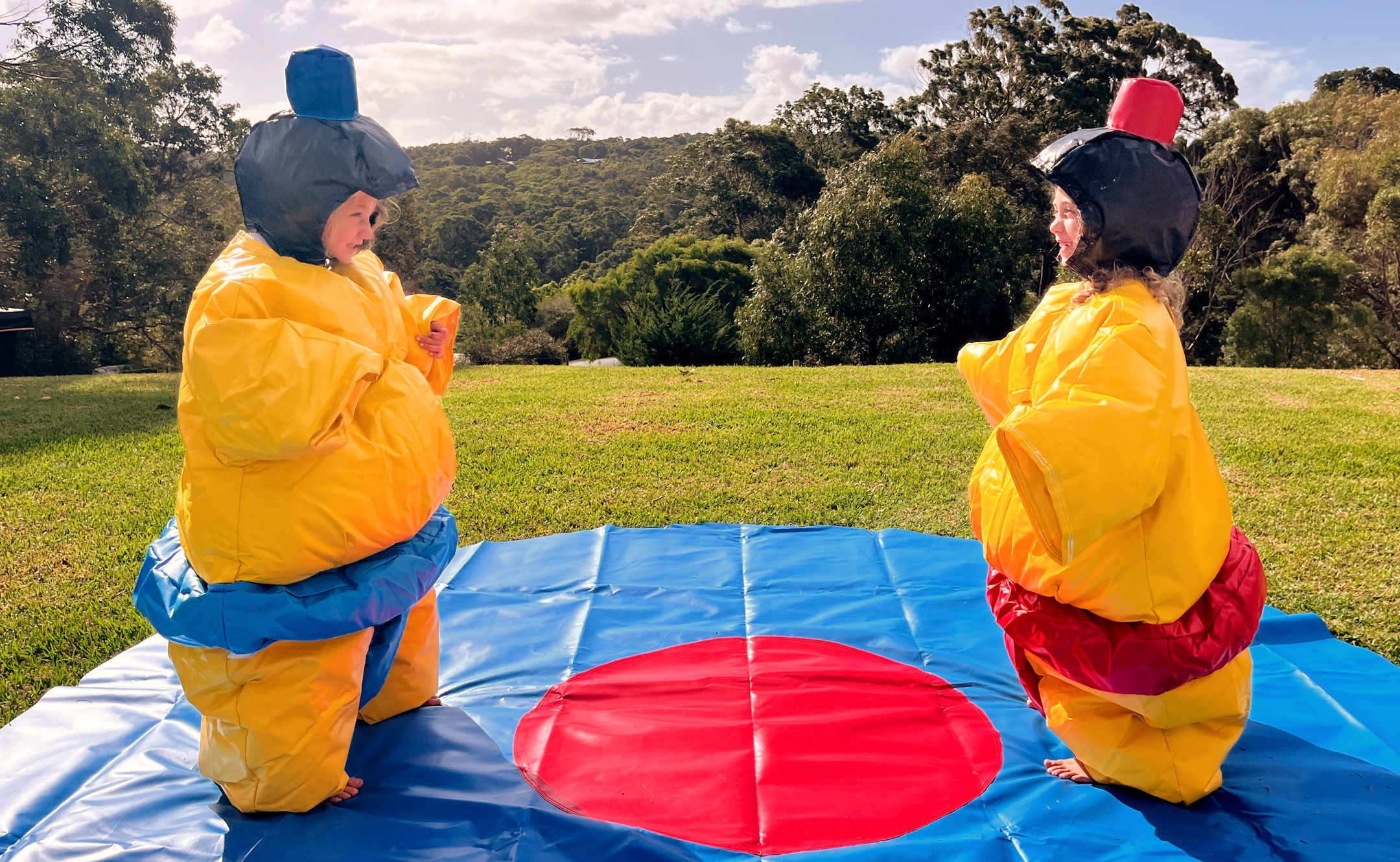 MR Sumo | Sumo Suits Hire