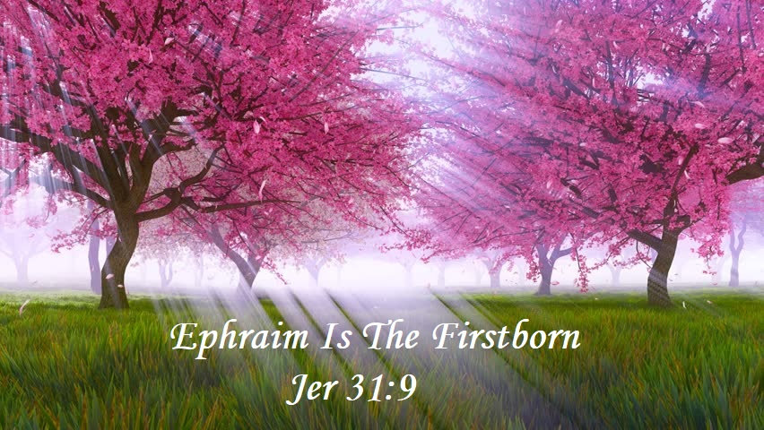 Ephraim Is The Father's Firstborn - Pieter Kirstein/J Leland Earls