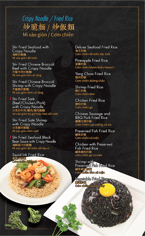 Crispy Noodle/Fried Rice | Tan Tan Wok