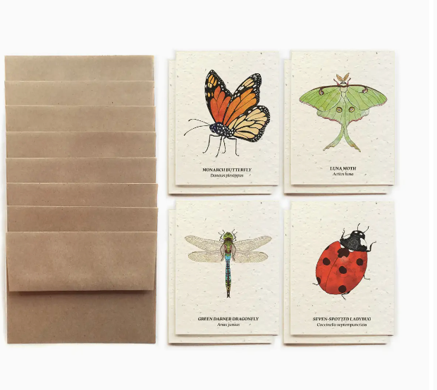 Insect Card Set - Plantable Wildflower Seed Paper | Fischer Arts