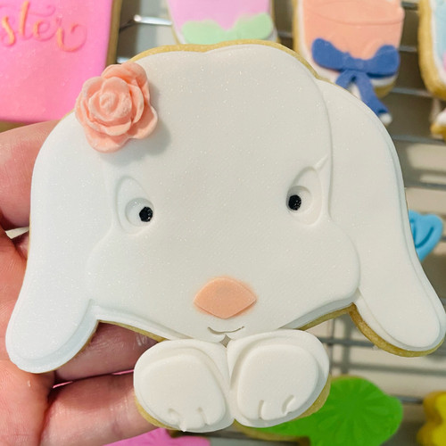 Sweet Bunny Rabbit Cookies | Oogiya Cookie