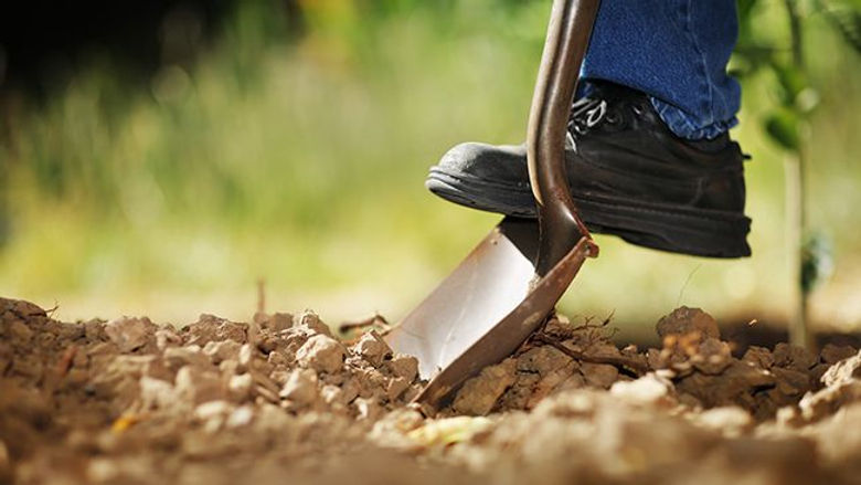 811 – CALL BEFORE YOU DIG