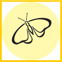 PERMACULTURE: Its Twelve Principles