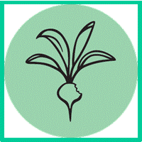 PERMACULTURE: Its Twelve Principles