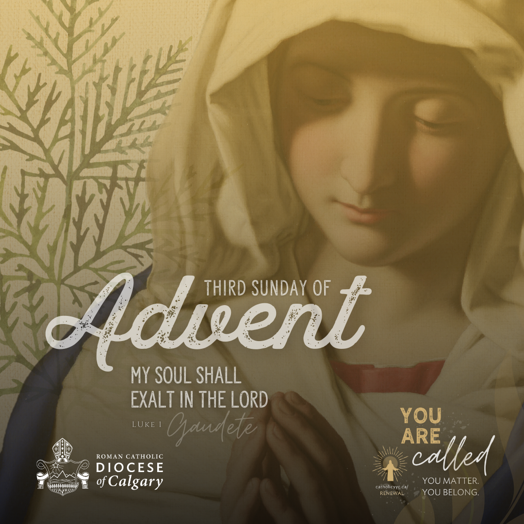 3rd Sunday in Ordinary Time